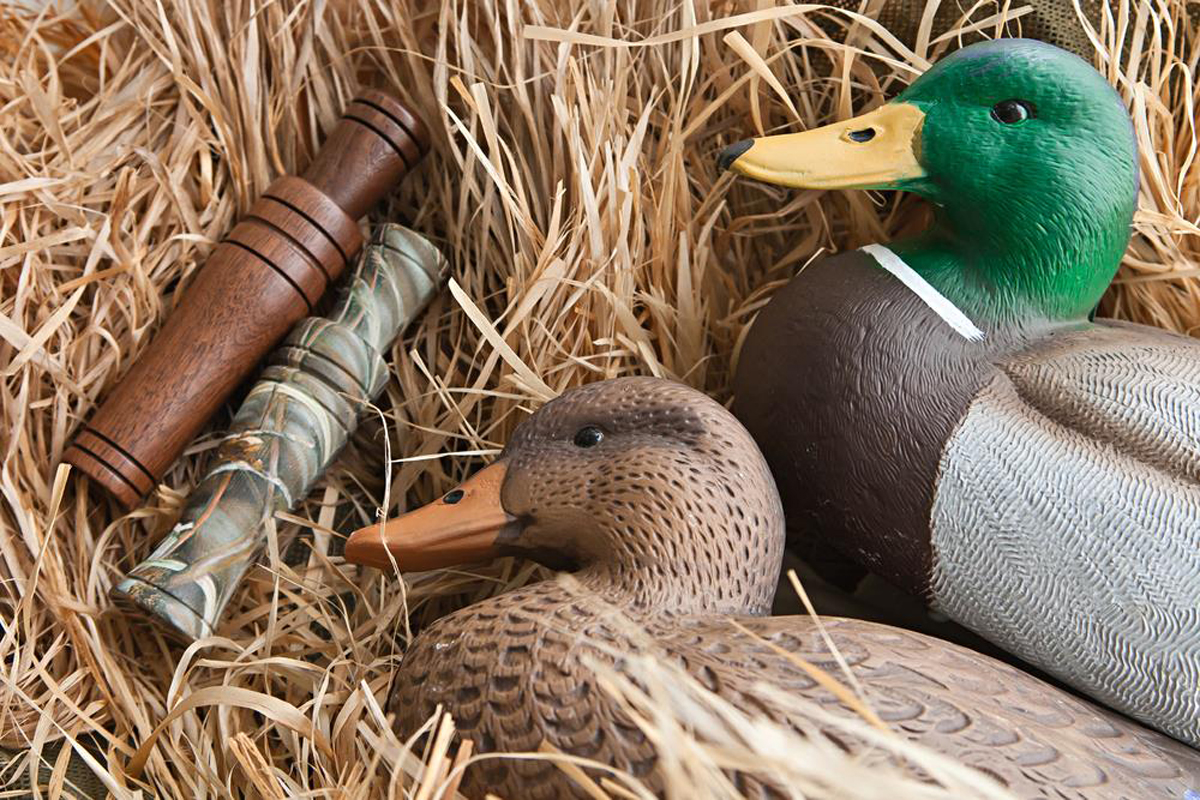 Wood Duck Hunting Tips - Best Scope Guide
